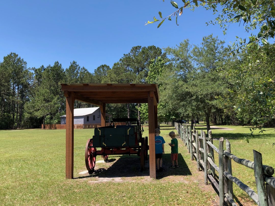 15 Places to Explore the Great Outdoors In & Around Jax
