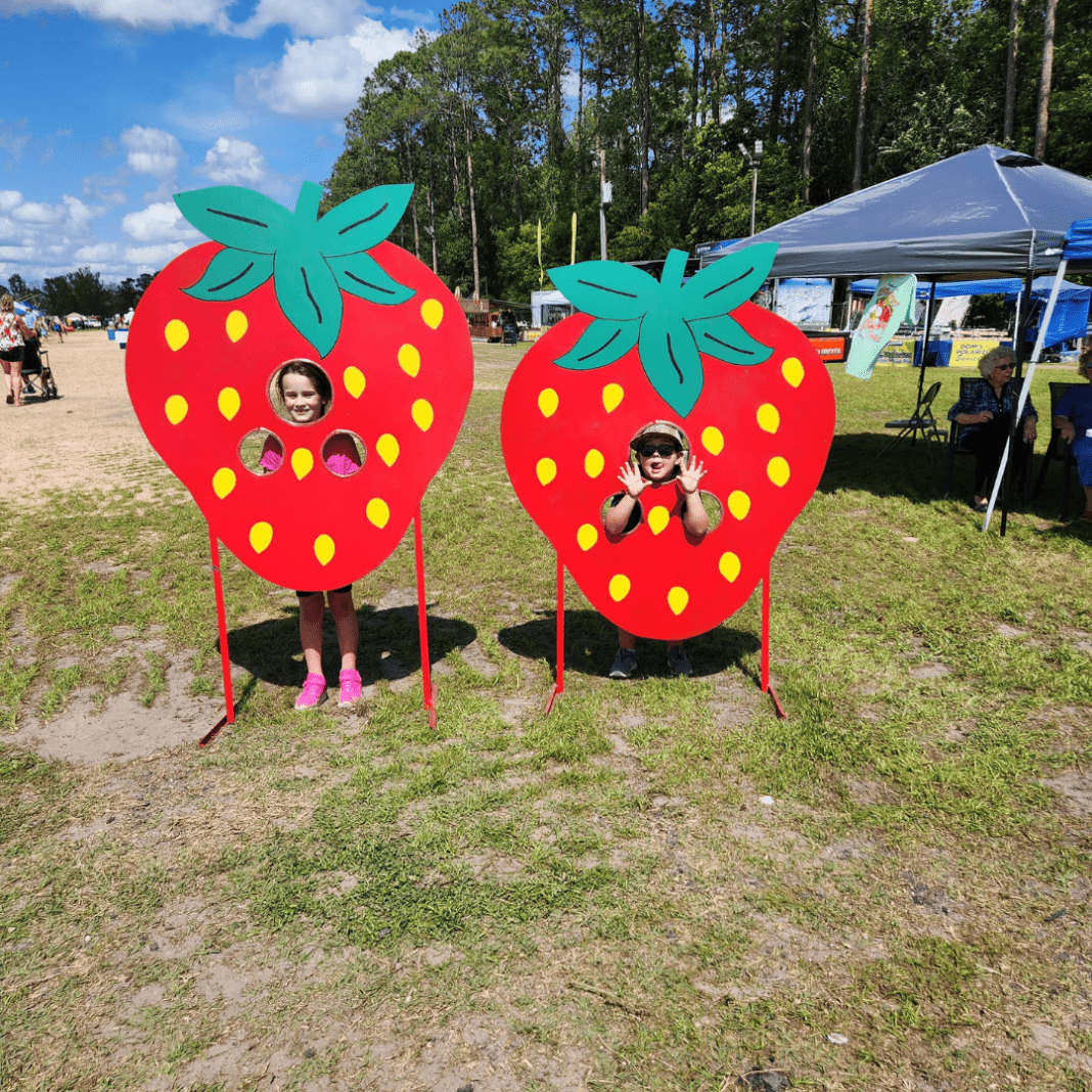 Strawberry Picking Farms & Festivals Near Jacksonville