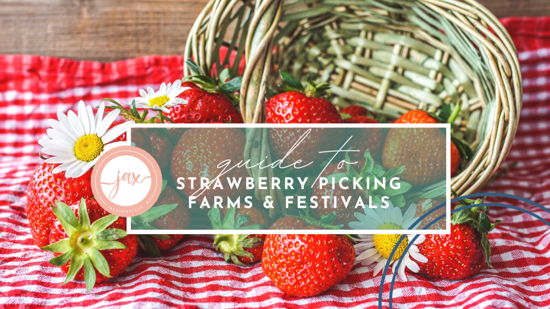 Strawberry Picking Farms & Festivals Near Jacksonville